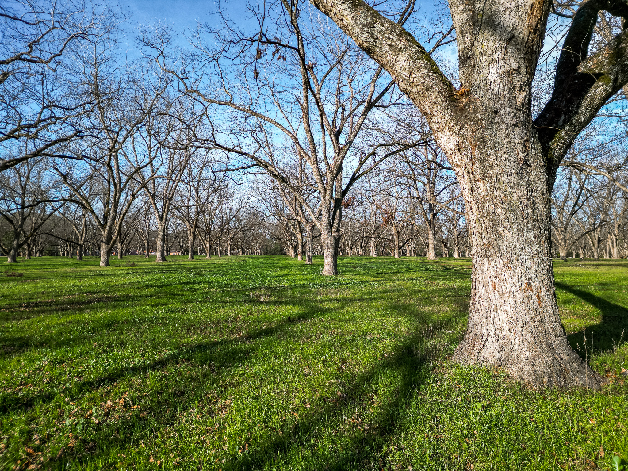 Crisp Commercial - New Era Land Company