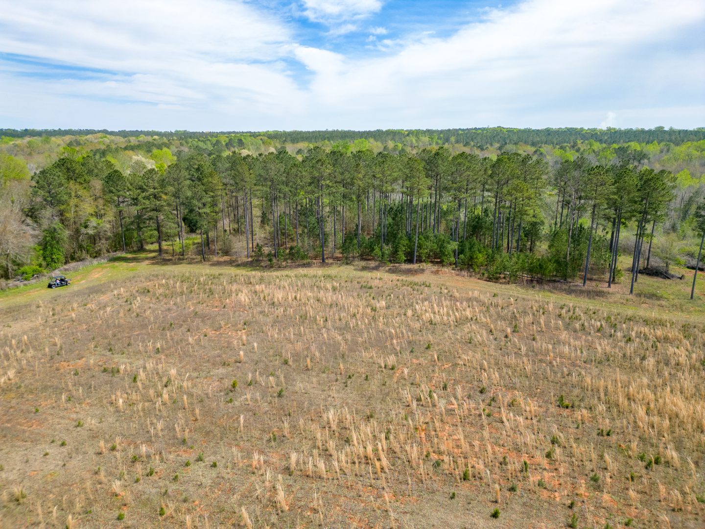 Pataula Creek Farms - New Era Land Company