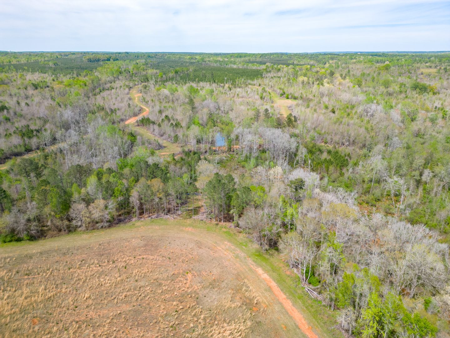 Pataula Creek Farms - New Era Land Company