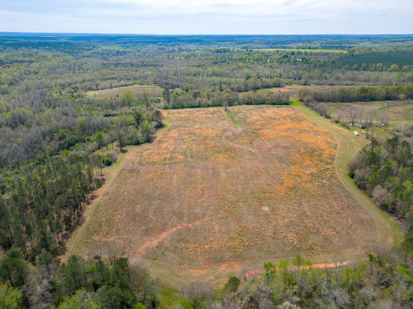 Pataula Creek Farms - New Era Land Company