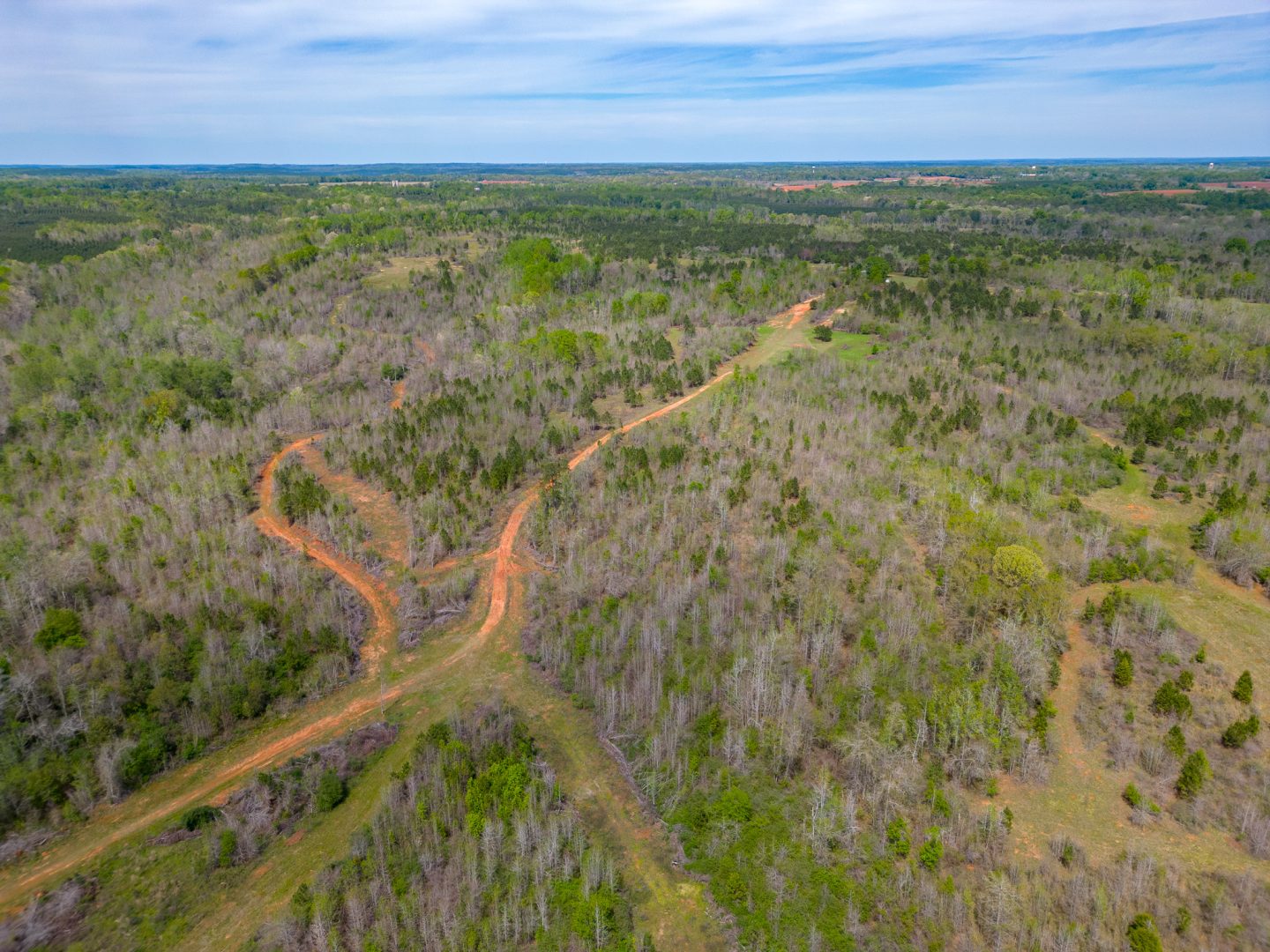 Pataula Creek Farms - New Era Land Company