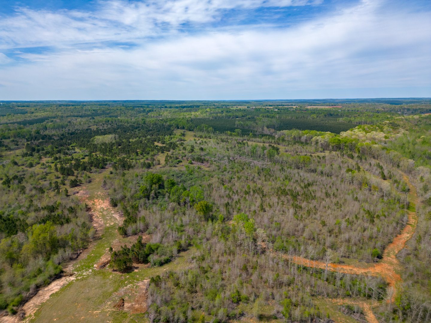 Pataula Creek Farms - New Era Land Company