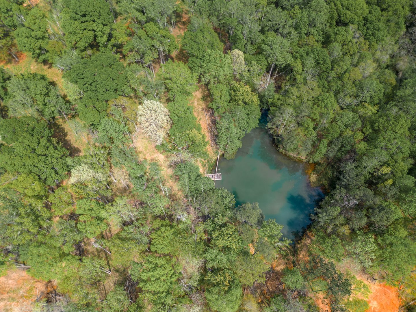 Pataula Creek Farms - New Era Land Company