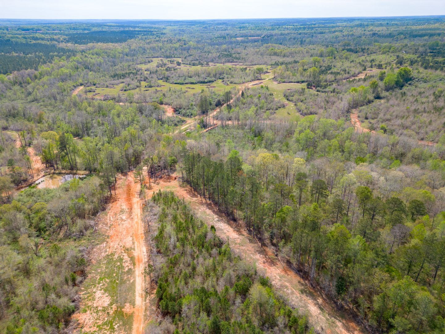 Pataula Creek Farms - New Era Land Company