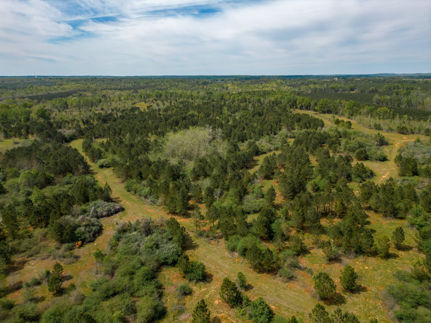 Pataula Creek Farms - New Era Land Company