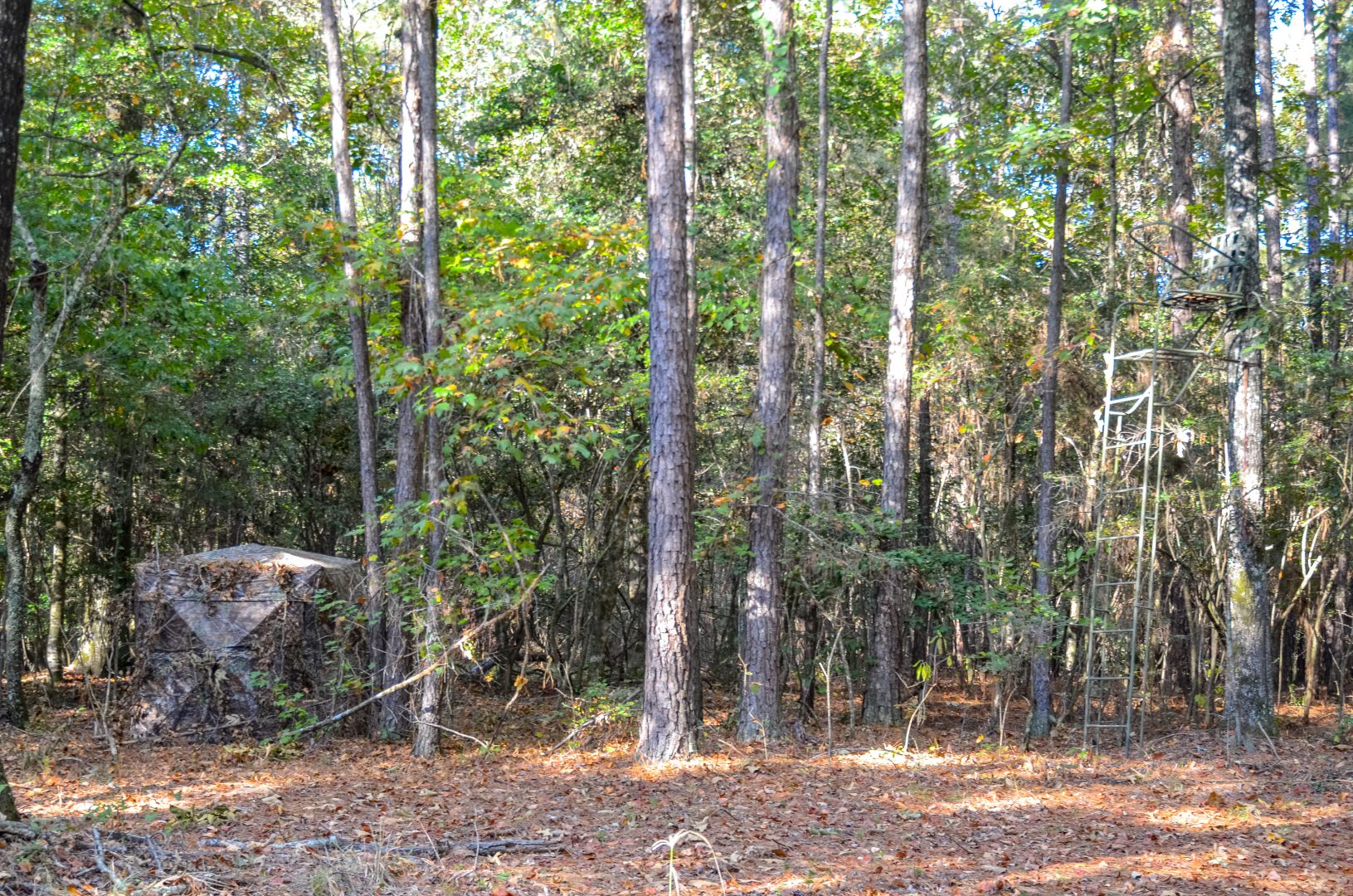 Mill Creek Farms – New Era Land Company