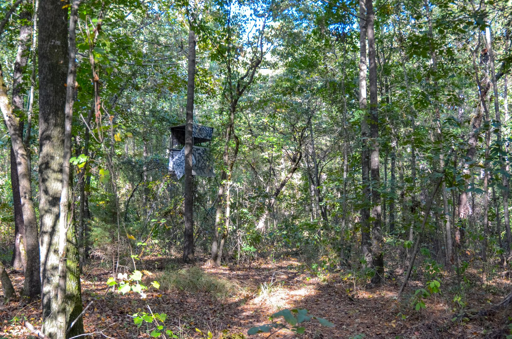 Mill Creek Farms – New Era Land Company