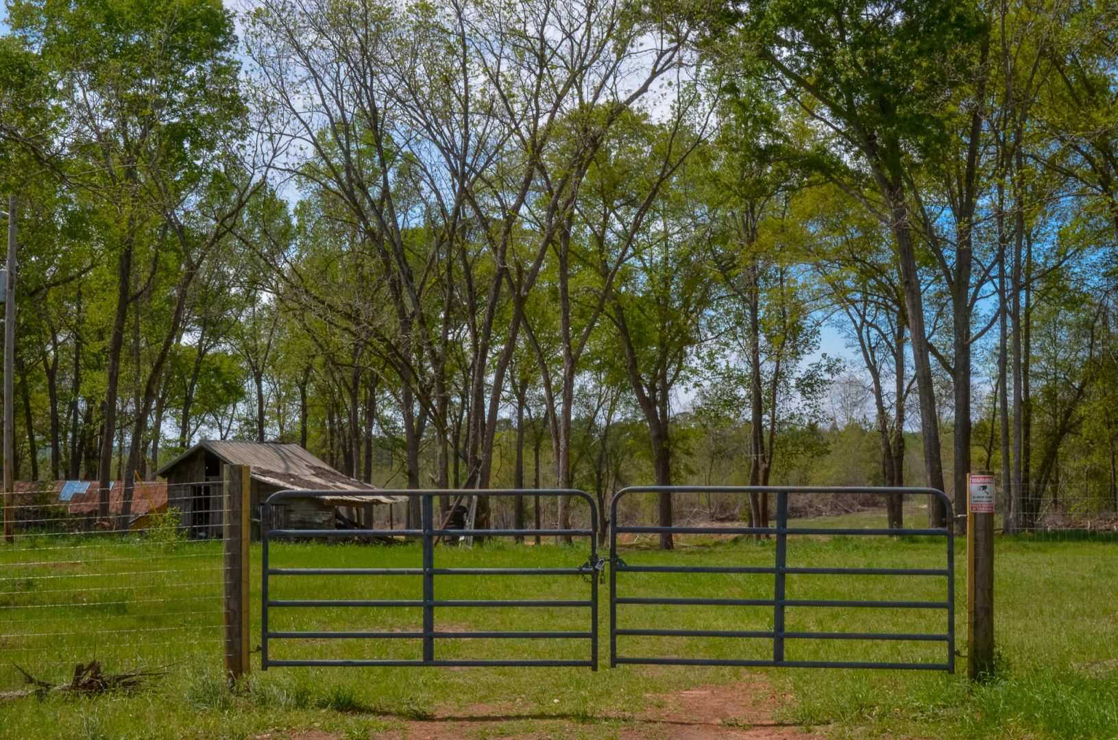 Pataula Creek Farms - New Era Land Company