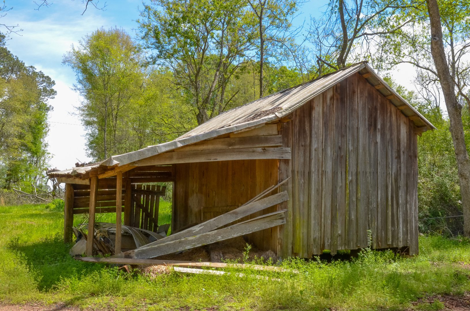 Pataula Creek Farms - New Era Land Company