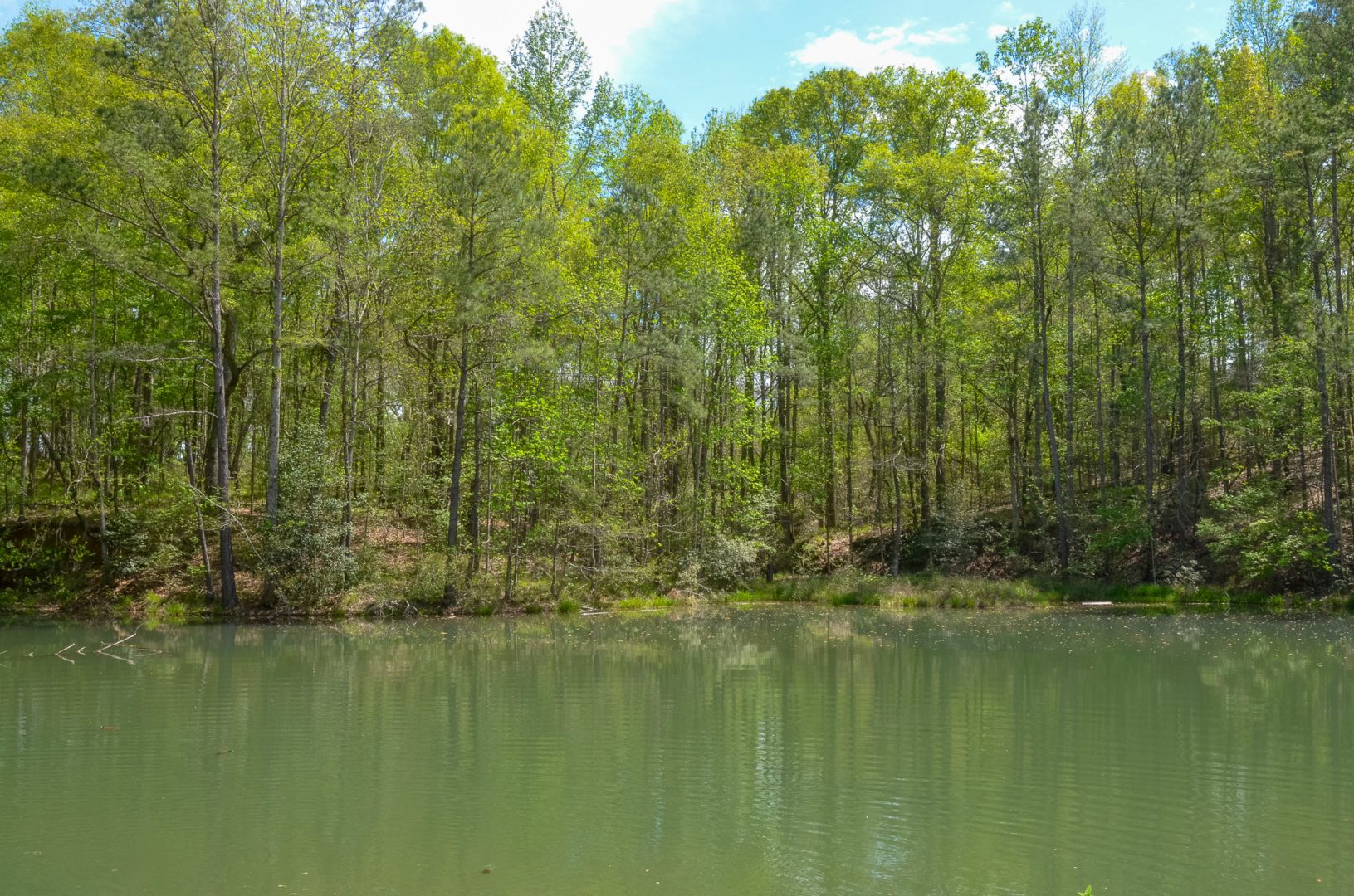 Pataula Creek Farms - New Era Land Company