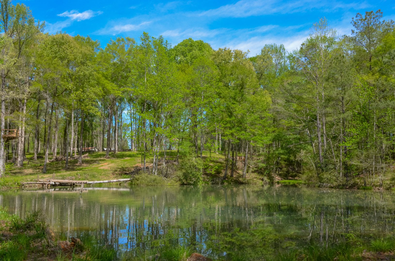 Pataula Creek Farms - New Era Land Company