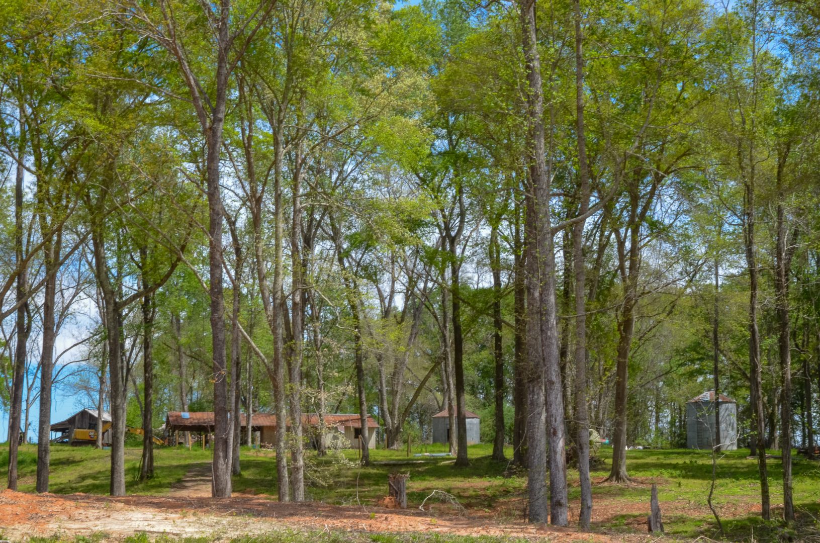 Pataula Creek Farms - New Era Land Company