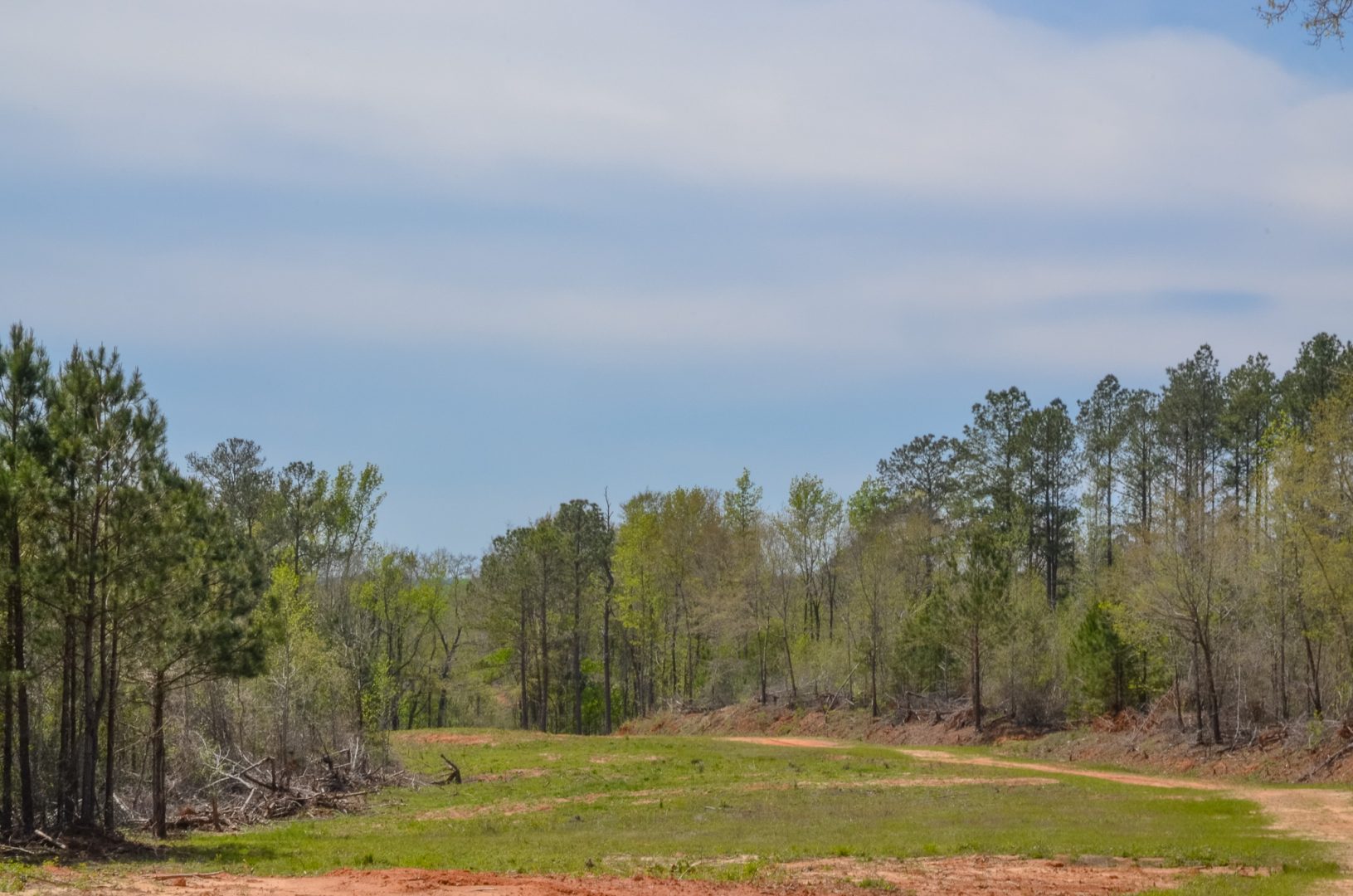 Pataula Creek Farms - New Era Land Company