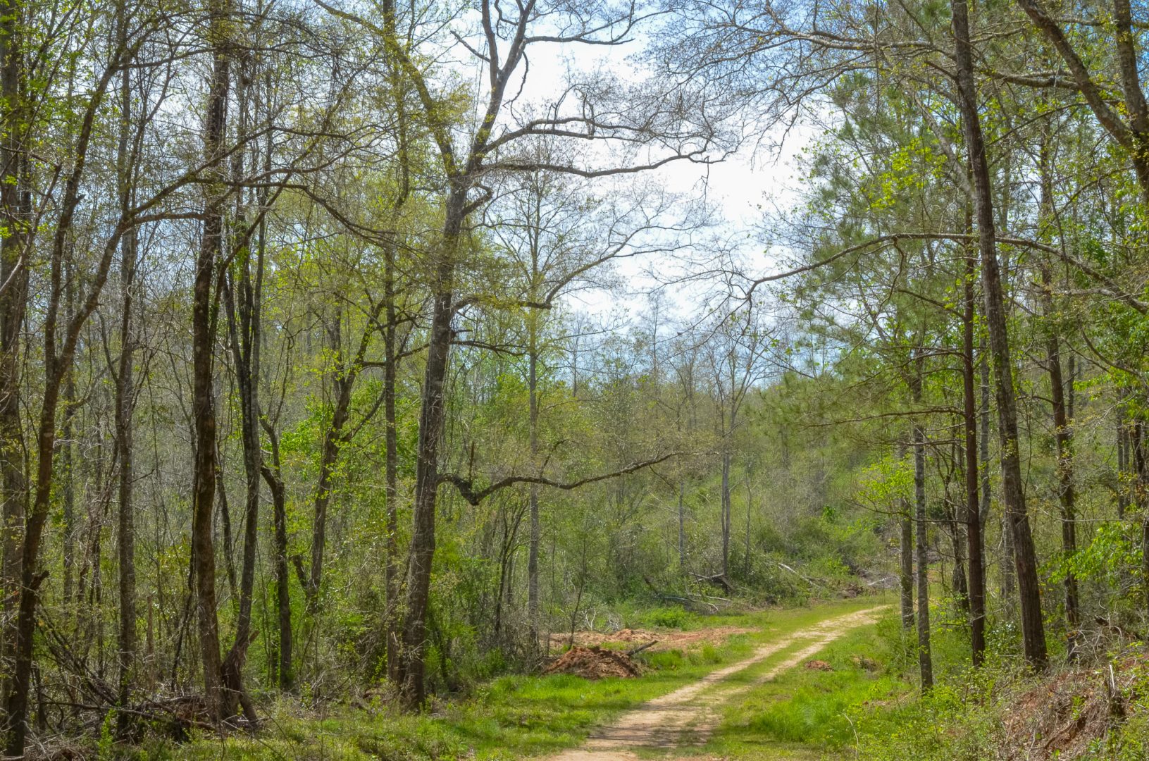 Pataula Creek Farms - New Era Land Company