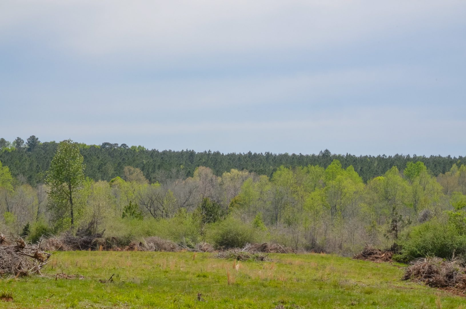 Pataula Creek Farms - New Era Land Company