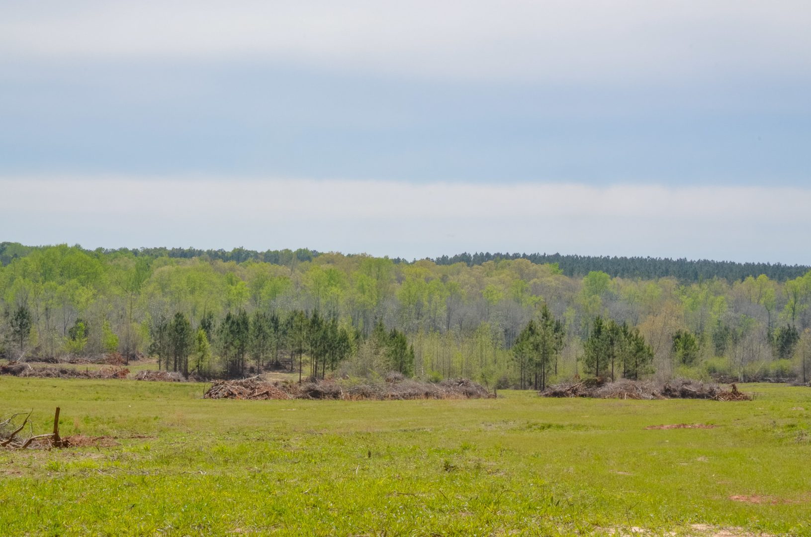 Pataula Creek Farms - New Era Land Company