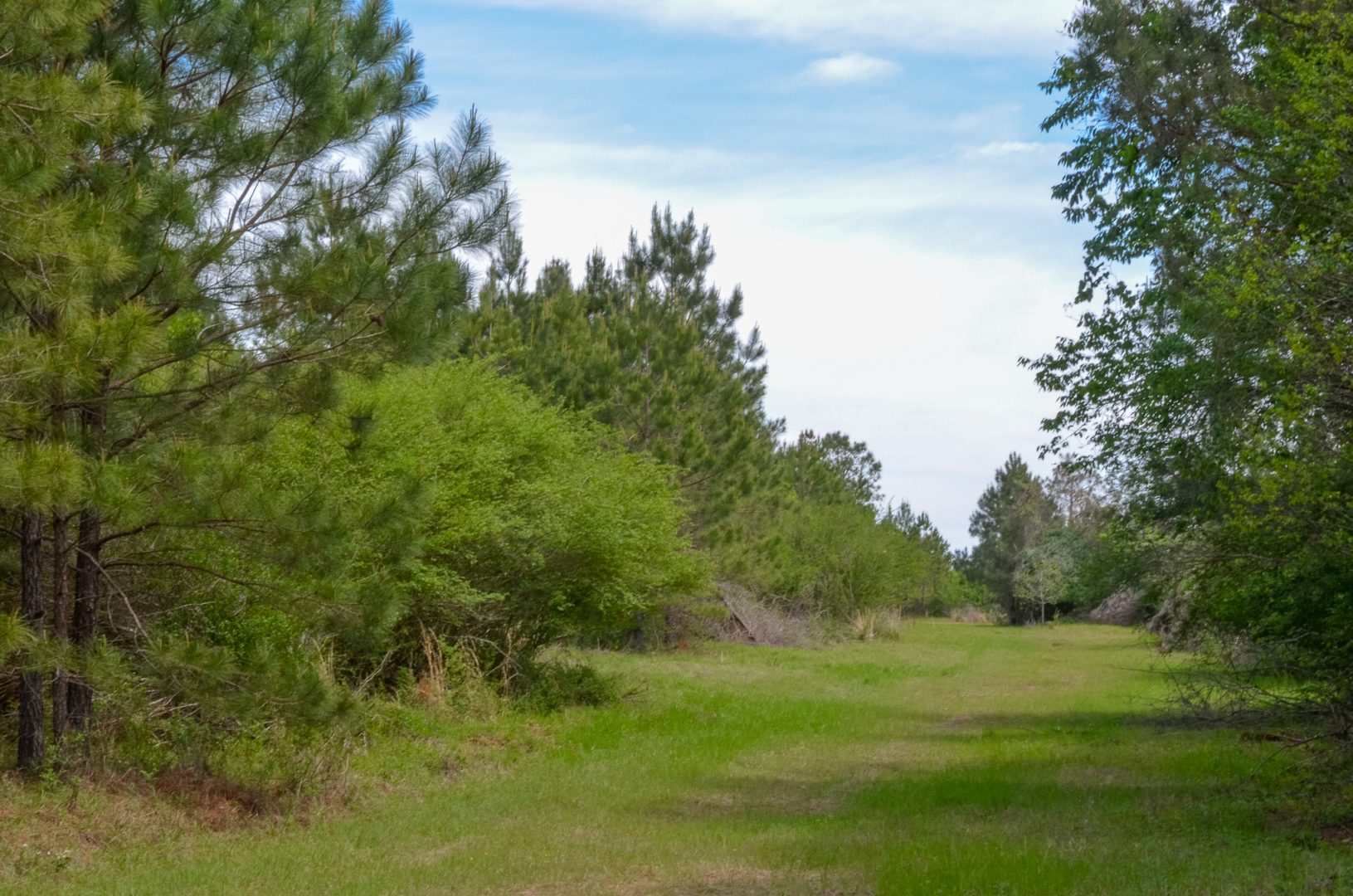 Pataula Creek Farms - New Era Land Company