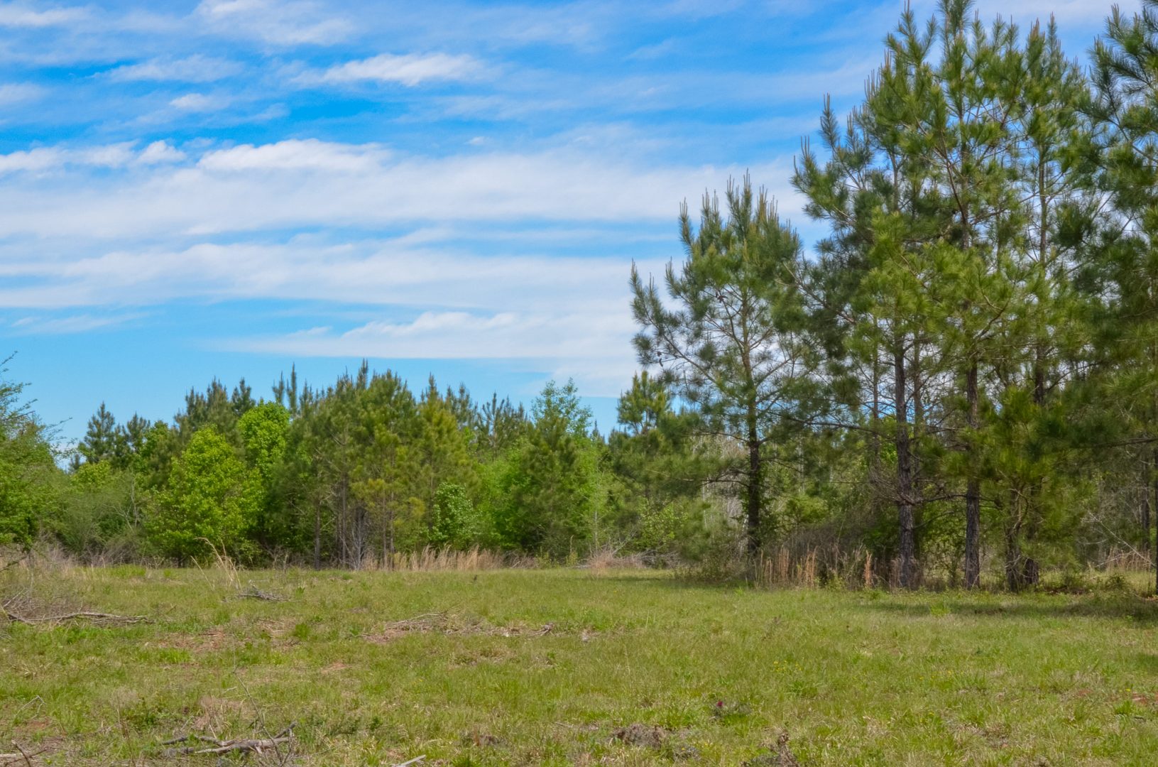 Pataula Creek Farms - New Era Land Company