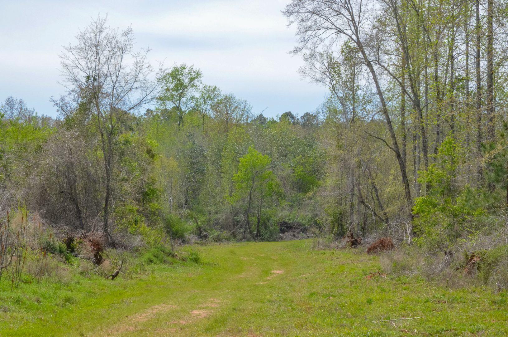 Pataula Creek Farms - New Era Land Company