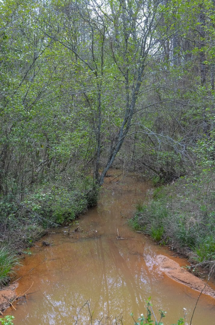 Pataula Creek Farms - New Era Land Company