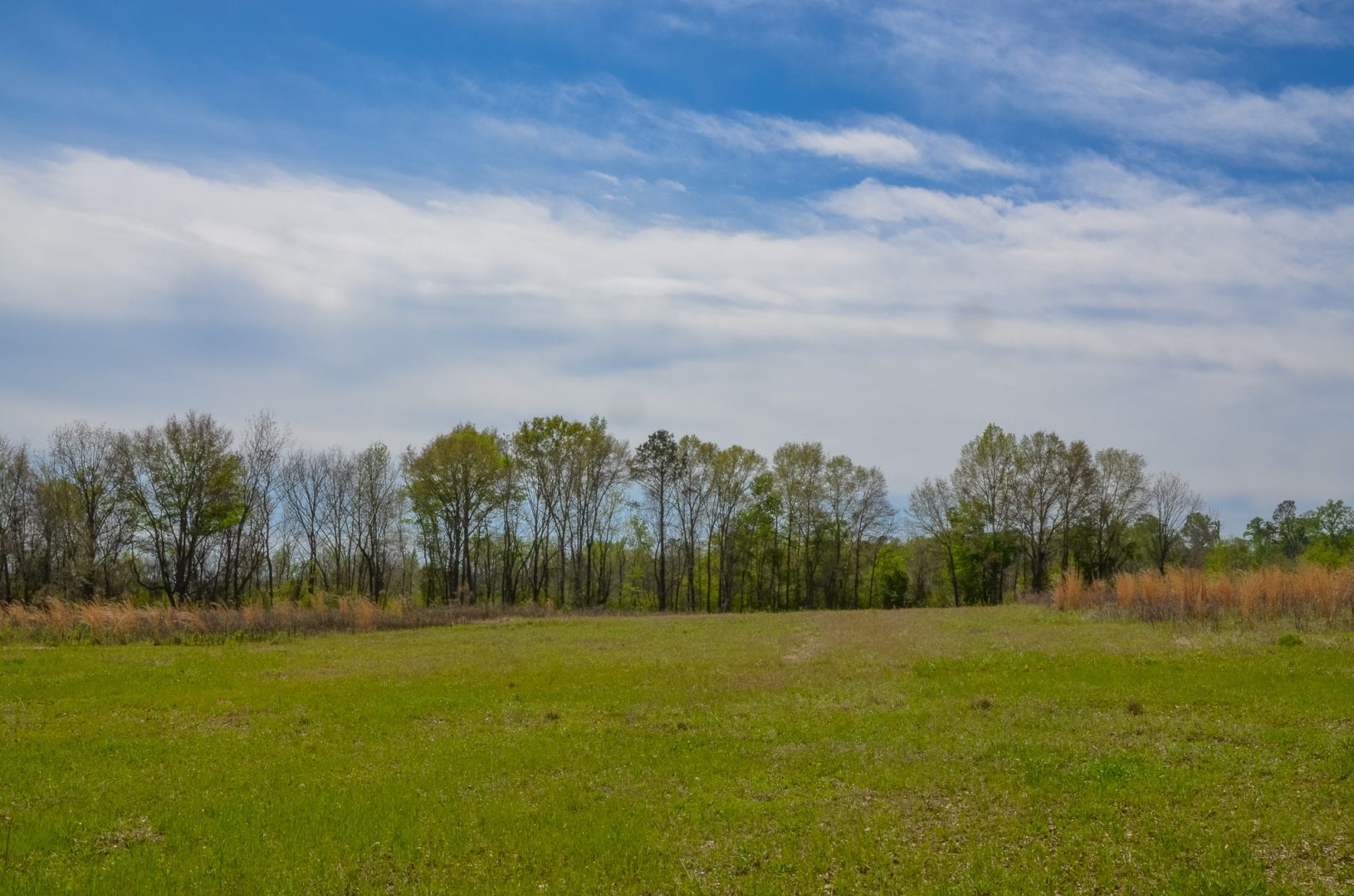 Pataula Creek Farms - New Era Land Company