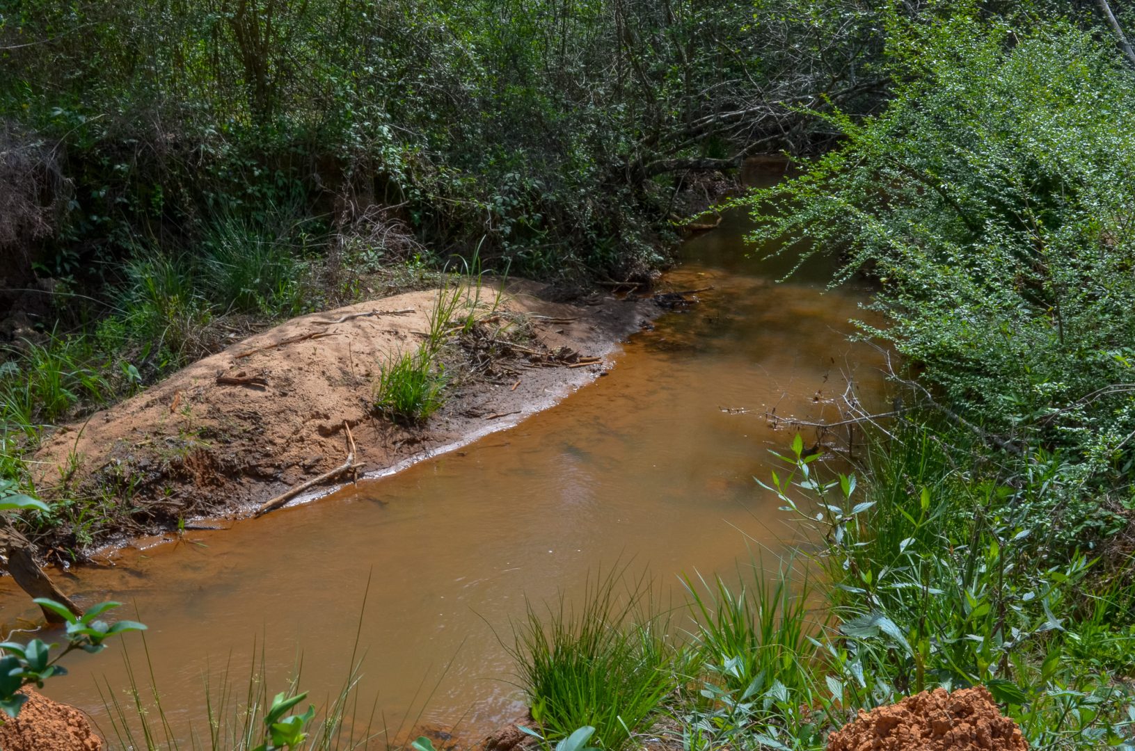 Pataula Creek Farms - New Era Land Company