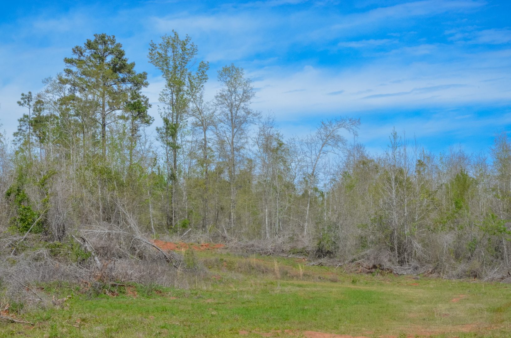 Pataula Creek Farms - New Era Land Company