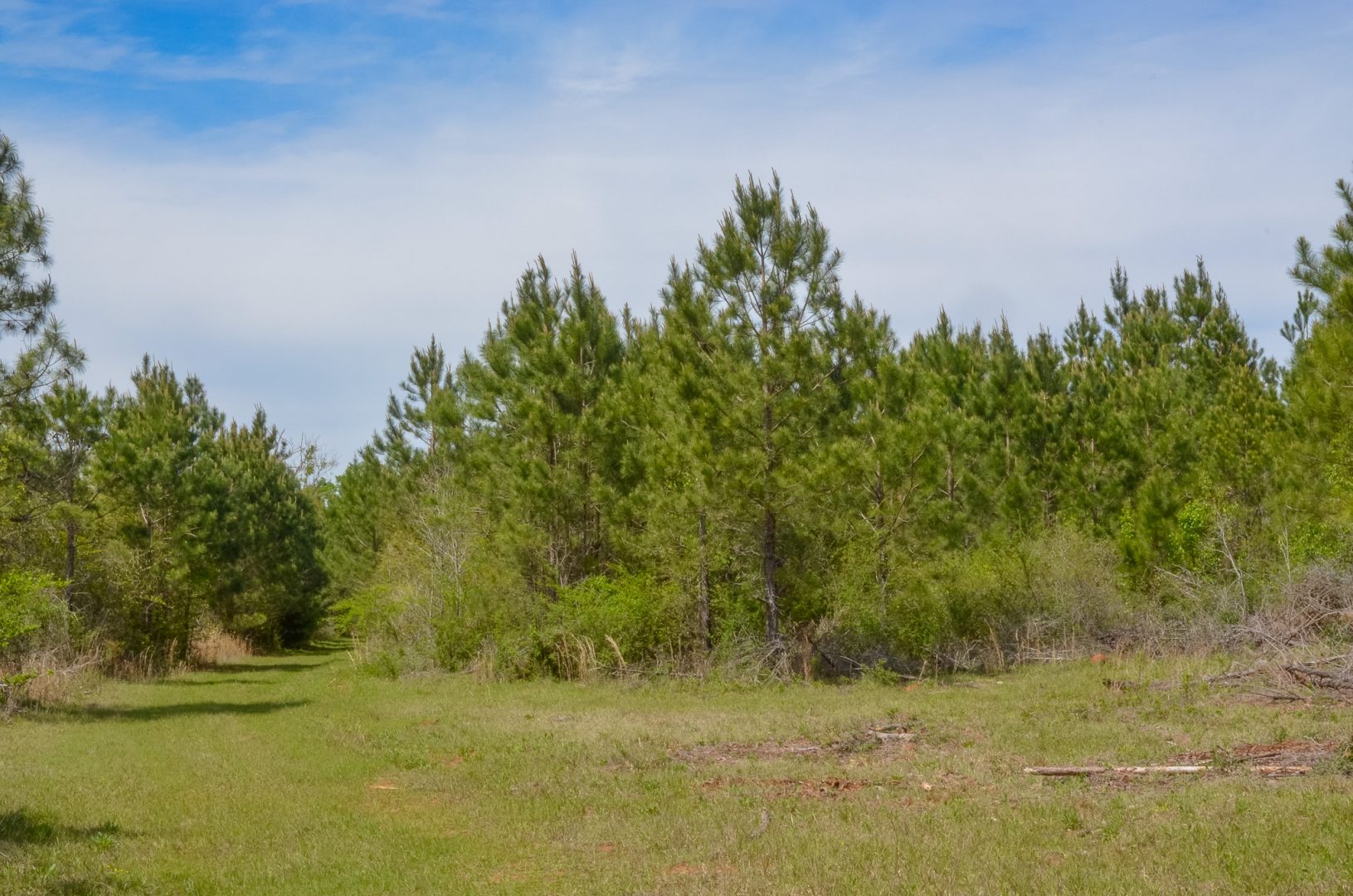 Pataula Creek Farms - New Era Land Company