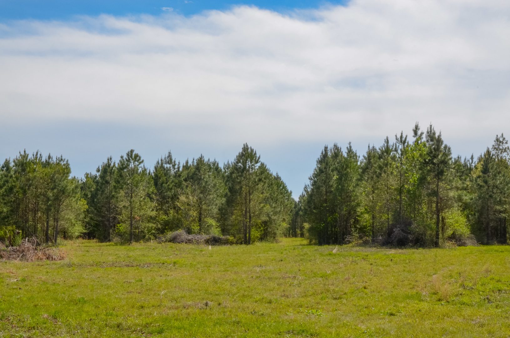 Pataula Creek Farms - New Era Land Company