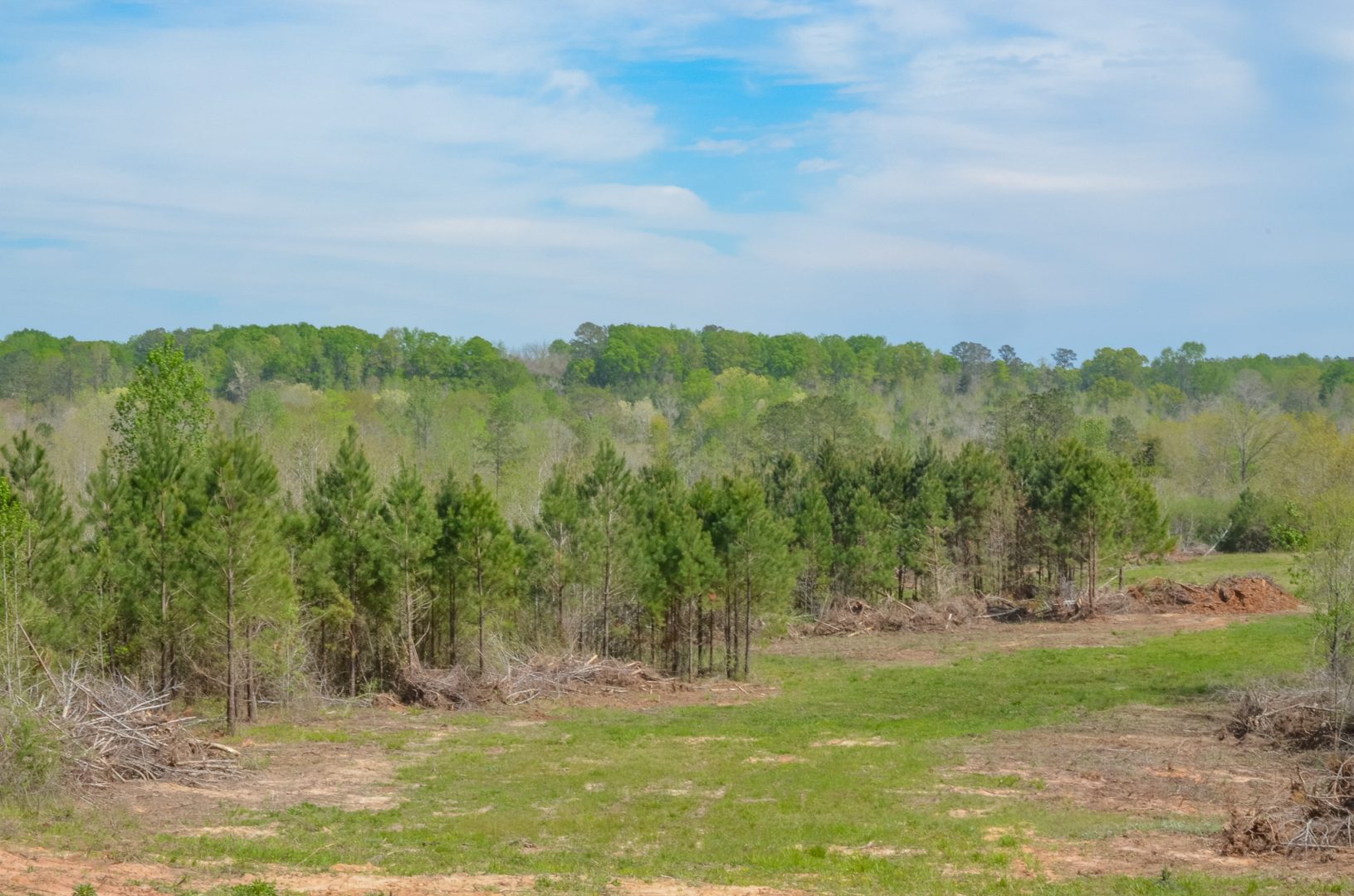 Pataula Creek Farms - New Era Land Company