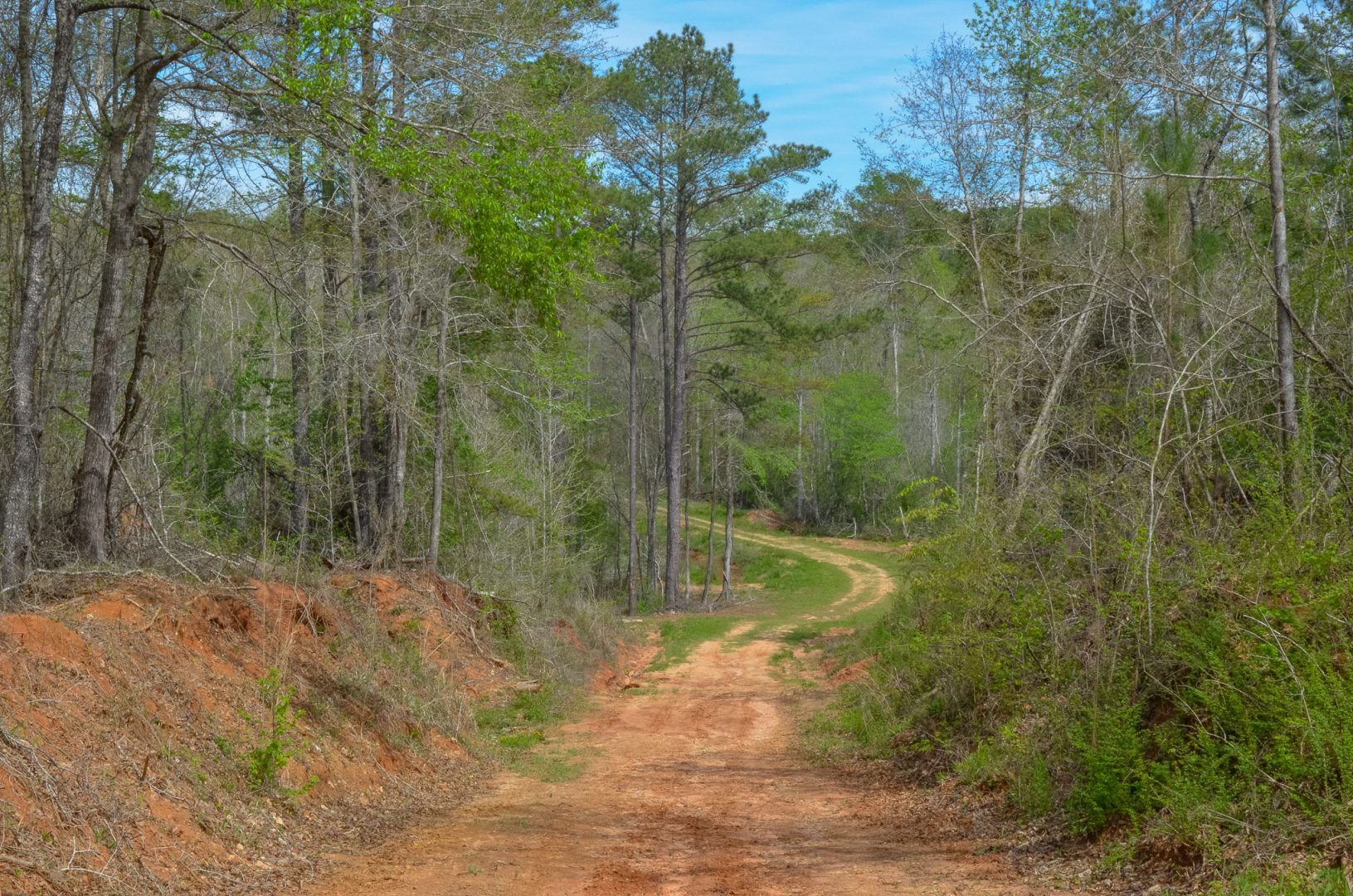 Pataula Creek Farms - New Era Land Company