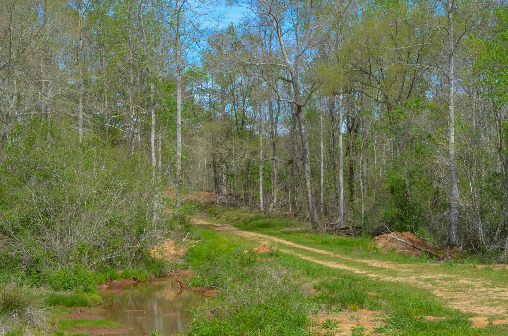 Pataula Creek Farms - New Era Land Company