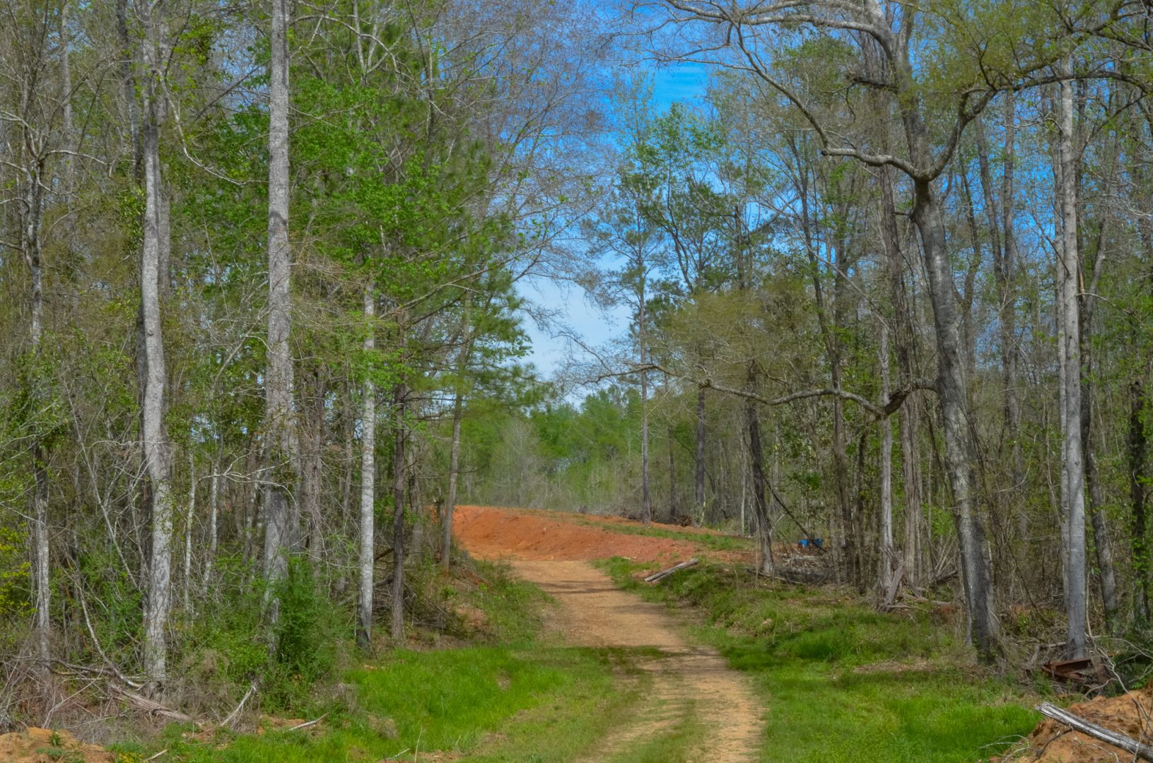 Pataula Creek Farms - New Era Land Company