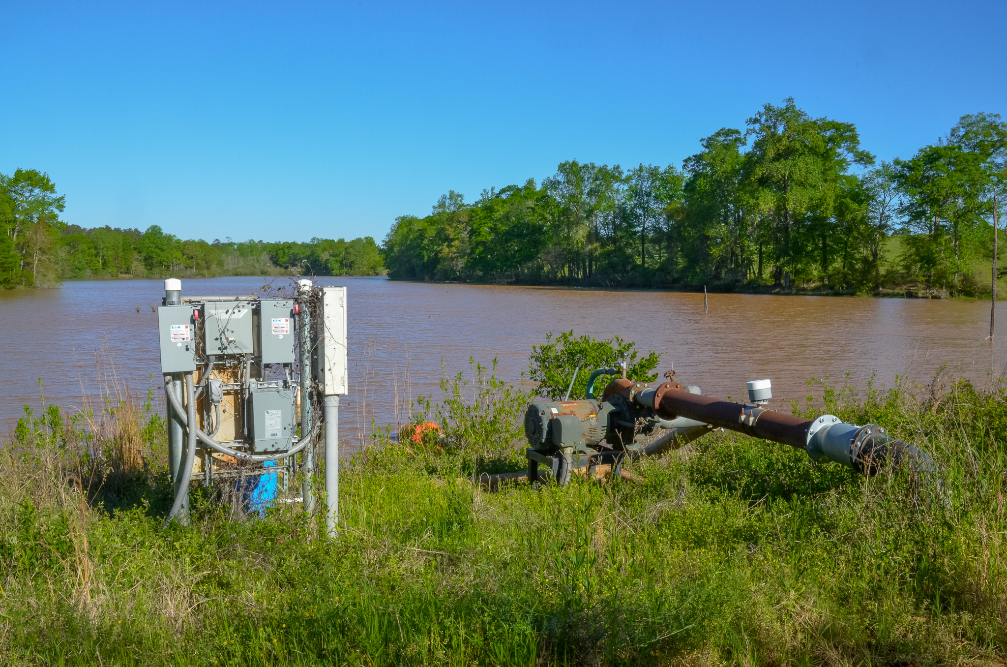 DNS Farms – New Era Land Company