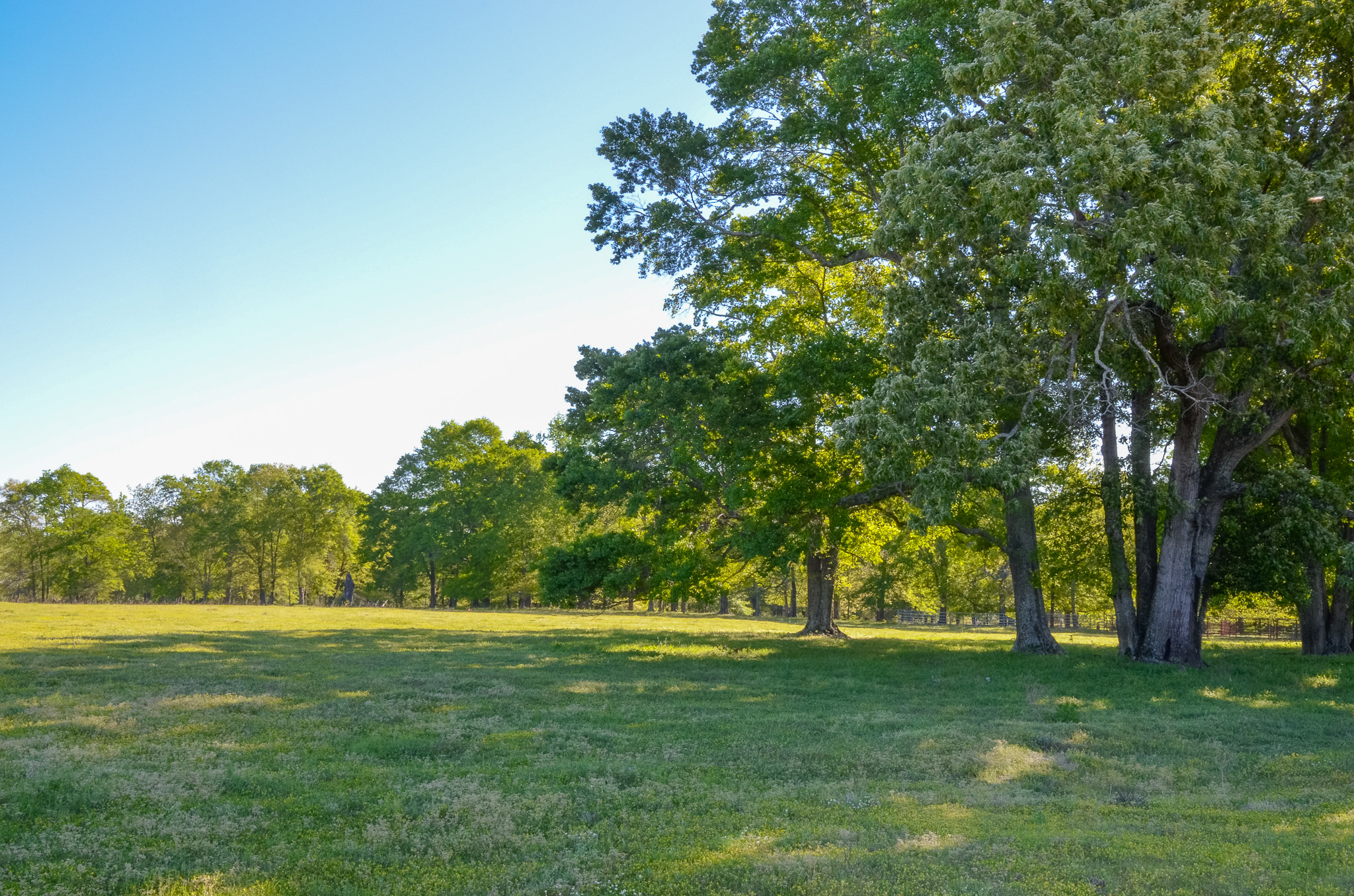 DNS Farms – New Era Land Company