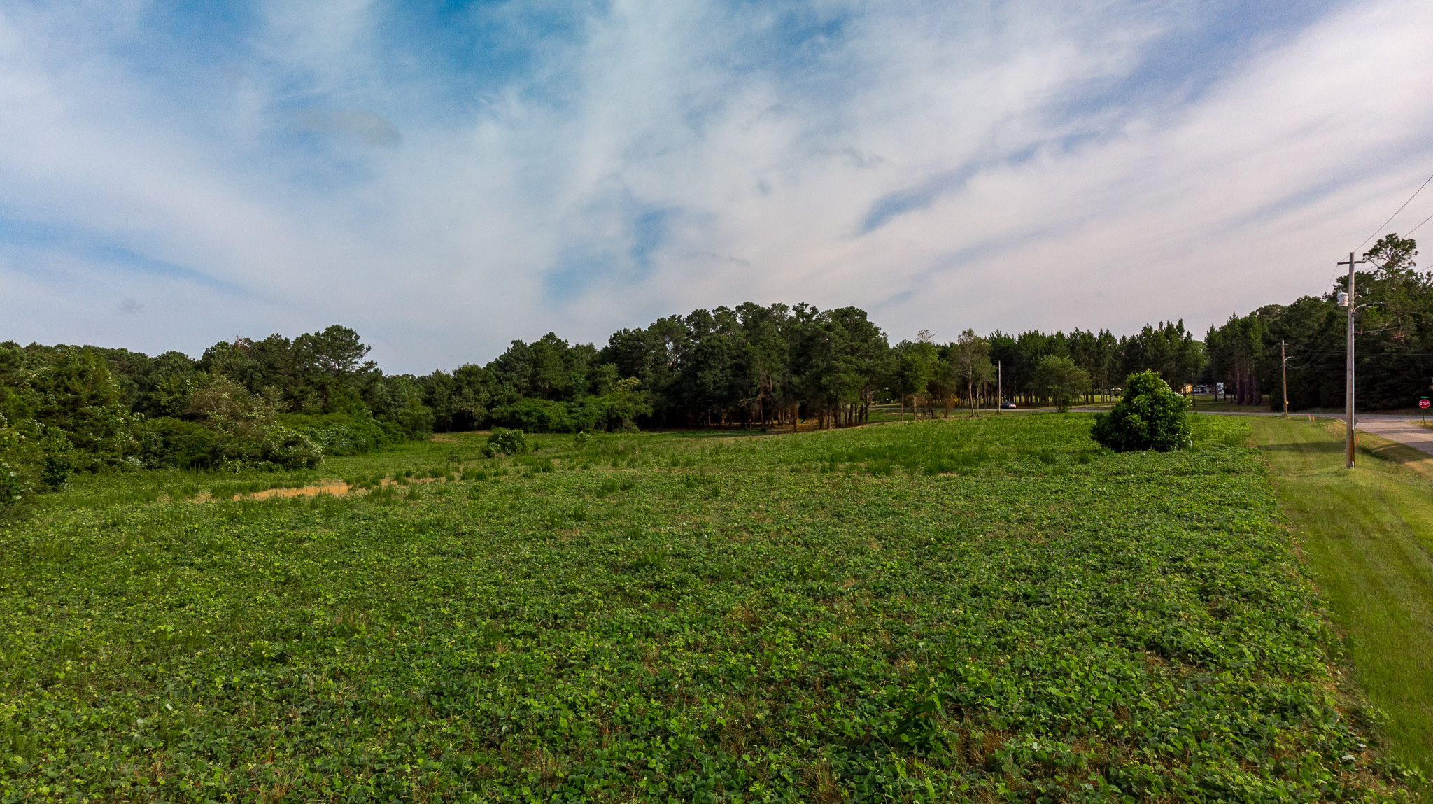 Ellaville Development - New Era Land Company