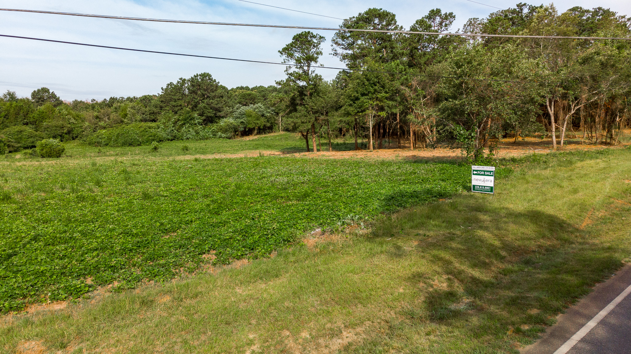 Ellaville Development - New Era Land Company