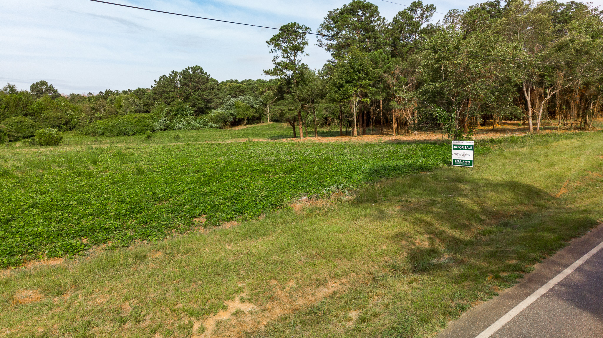 Ellaville Development - New Era Land Company