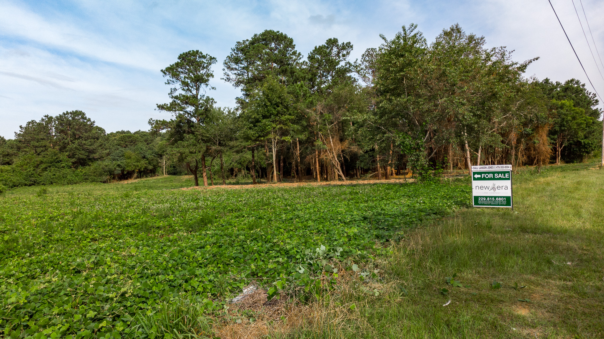 Ellaville Development - New Era Land Company