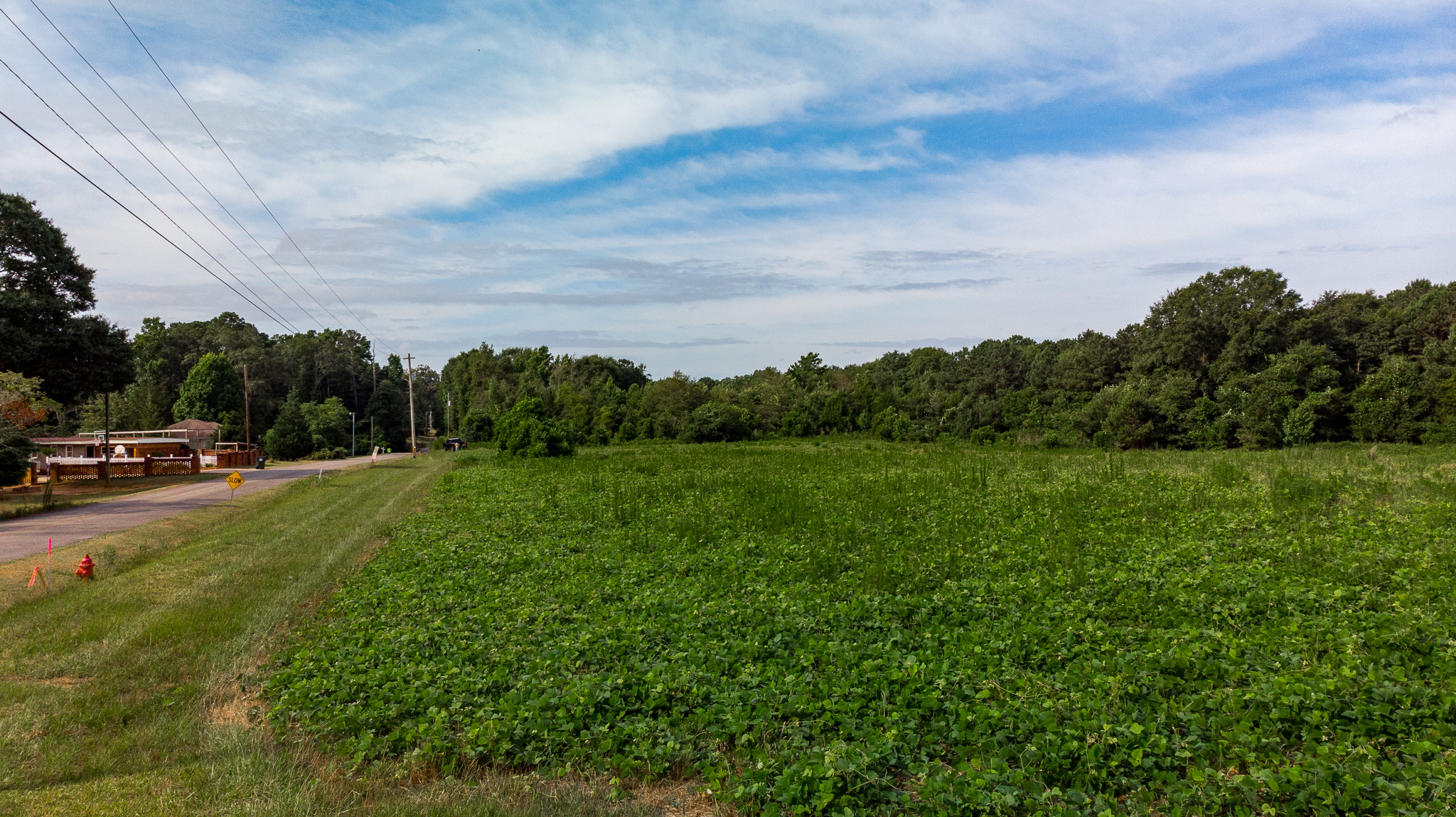 Ellaville Development - New Era Land Company