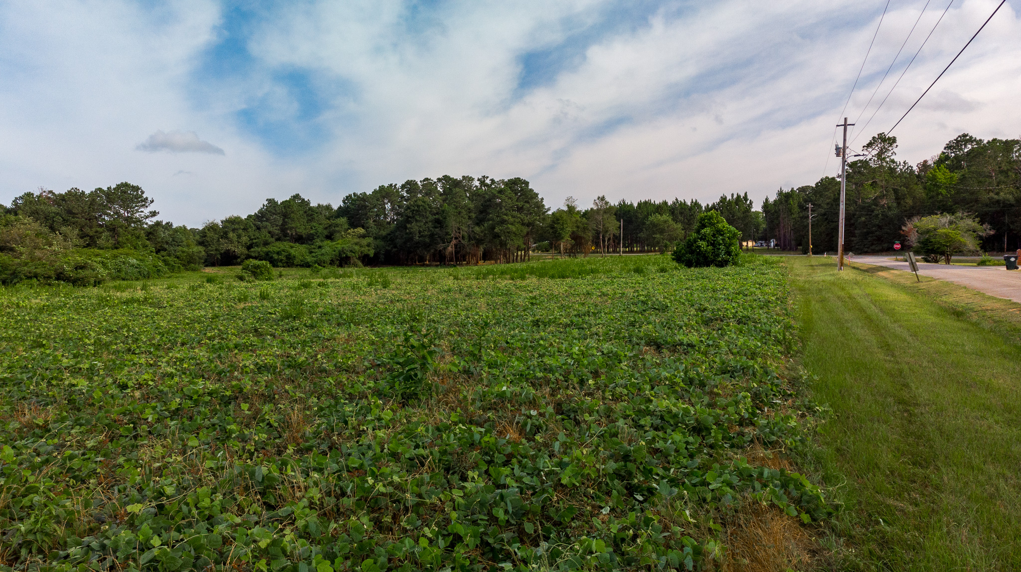 Ellaville Development - New Era Land Company