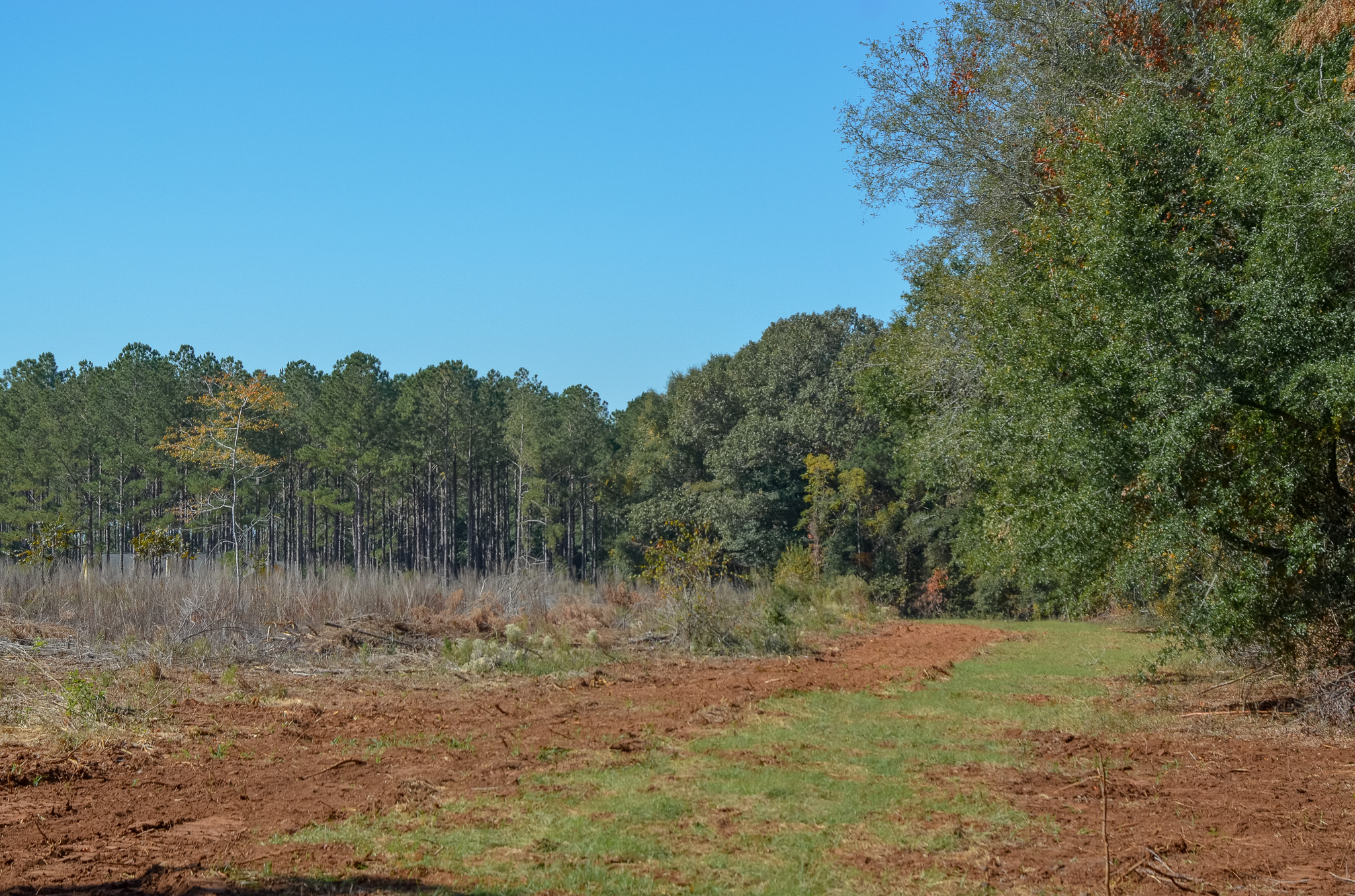 Stephenson Farms – New Era Land Company