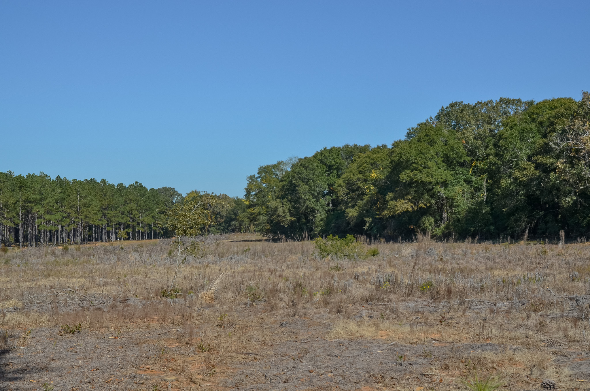 Stephenson Farms – New Era Land Company