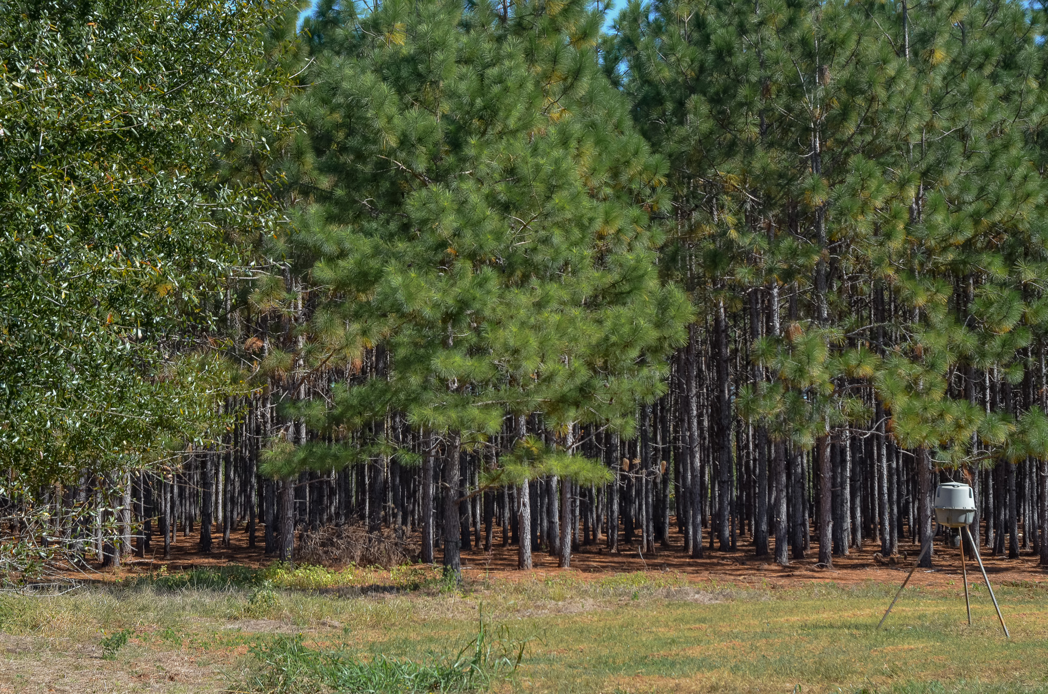 Stephenson Farms – New Era Land Company