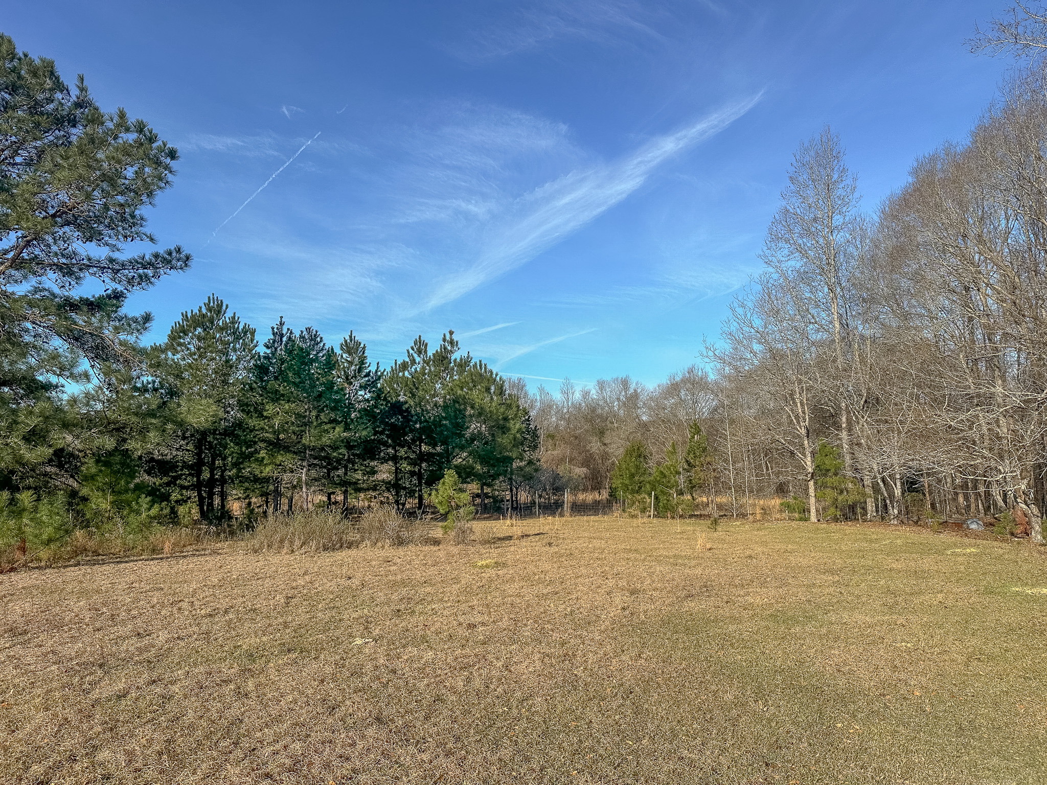 Lime Spring 195 - New Era Land Company