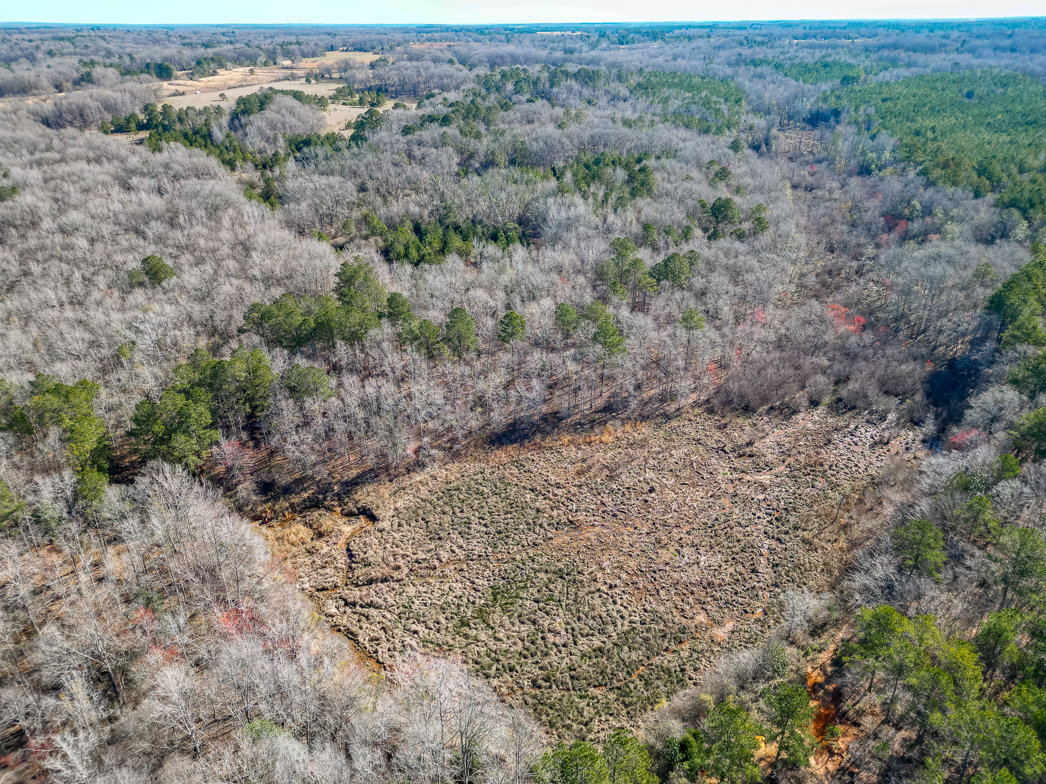 Lime Spring 195 - New Era Land Company