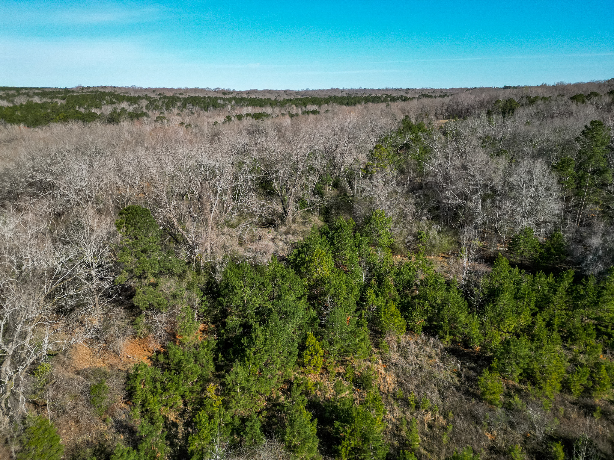 Lime Spring 195 - New Era Land Company