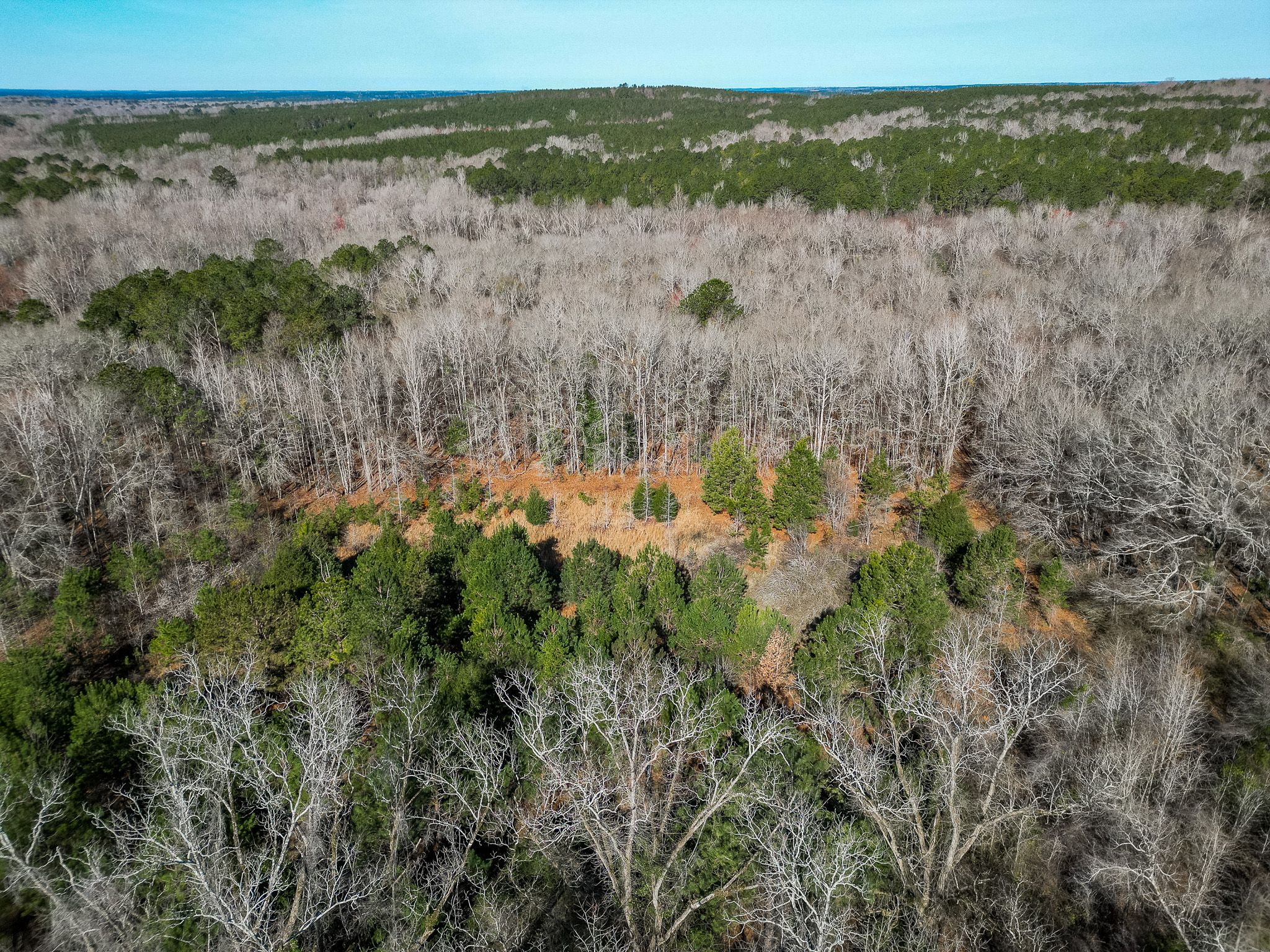 Lime Spring 195 - New Era Land Company