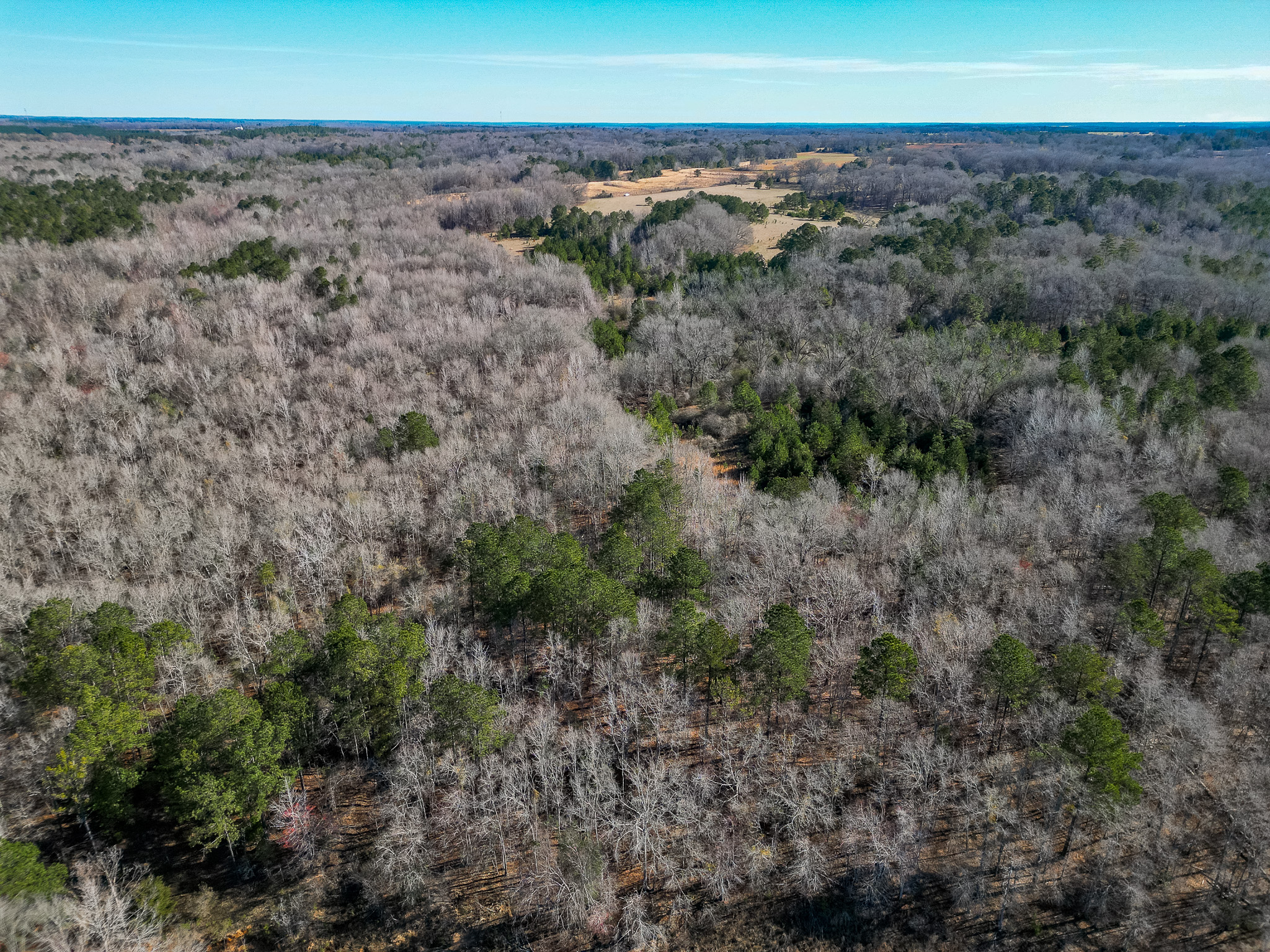 Lime Spring 195 - New Era Land Company