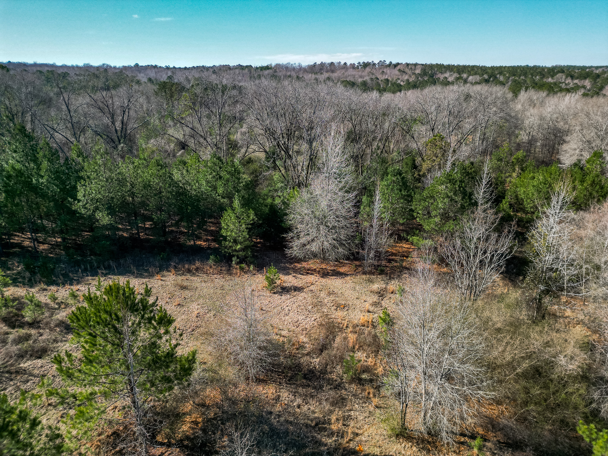 Lime Spring 195 - New Era Land Company